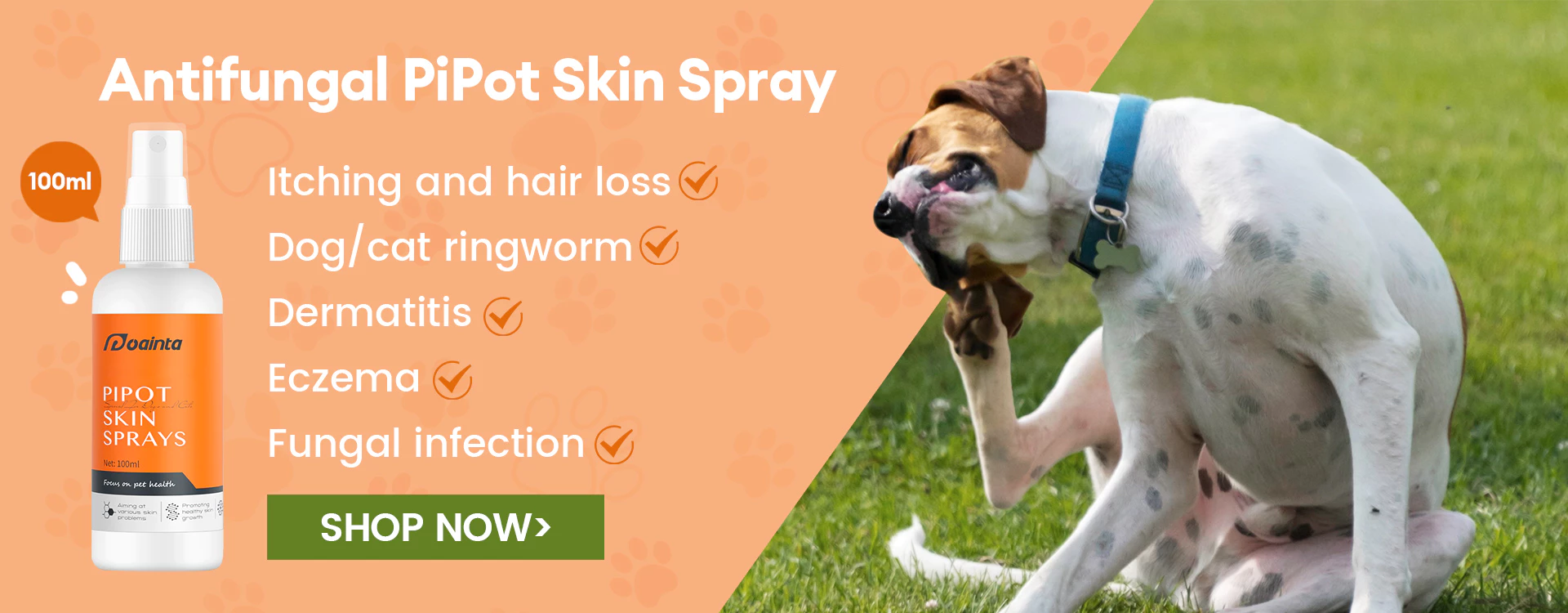 Amomongo: Philippine Mythological Creature